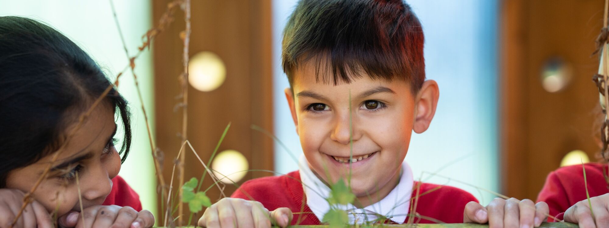 Become a Trust School - Agora Learning Partnership